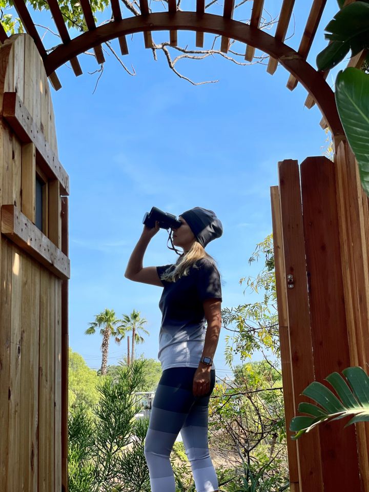 The Color Swatch Collection – Jennifer Rae Ochs